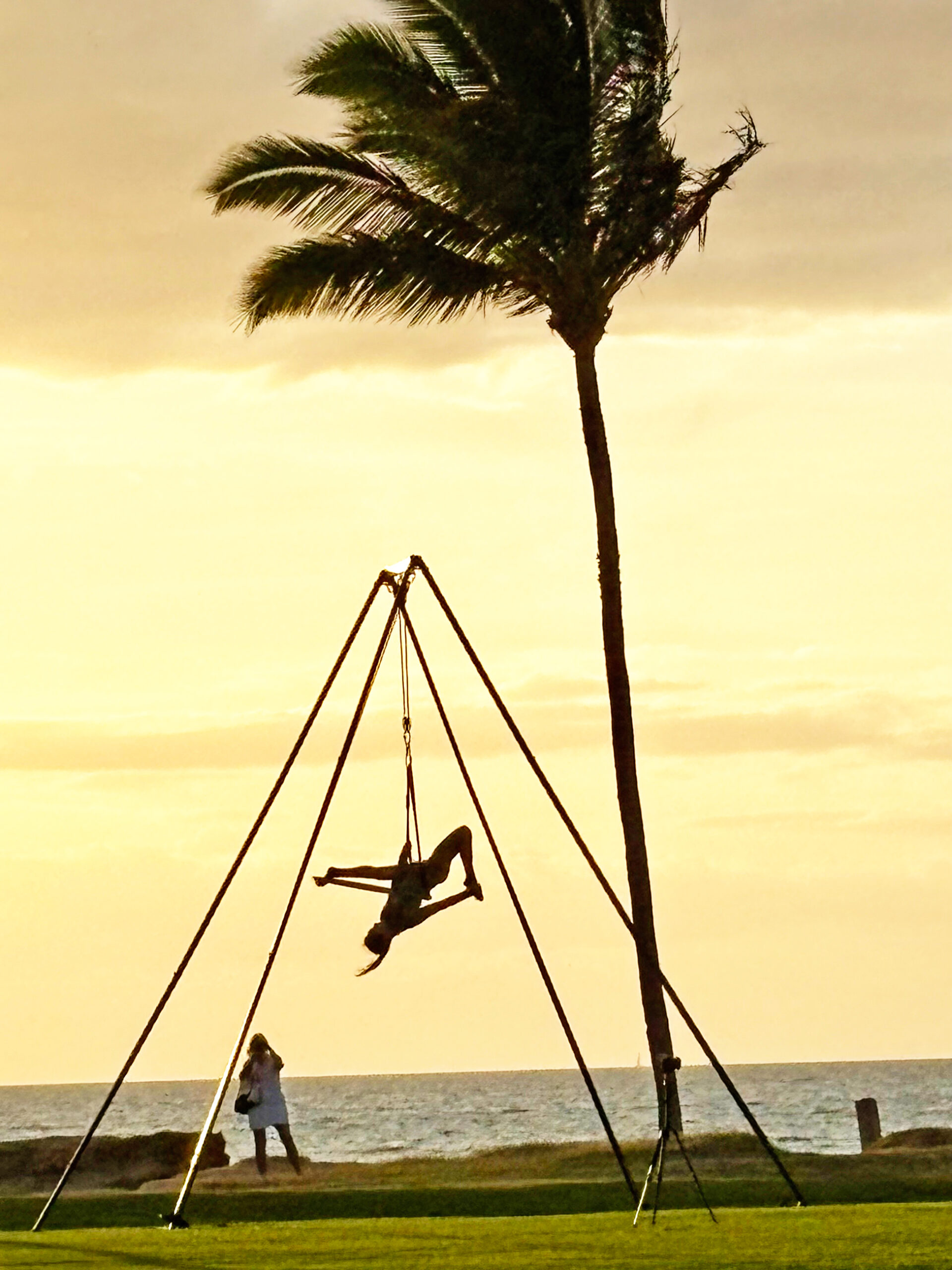 Photo of the Day: Swangin’ | News, Sports, Jobs - Maui News